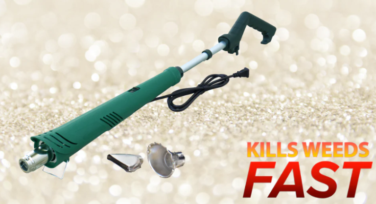 Bionic Burner Reviews 2022: Does It Work? Find Out!