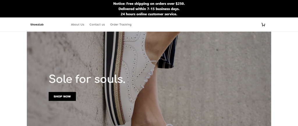 Shoezlab.com Reviews 2022: Scam Or Legit Shoe Store? Find Out!