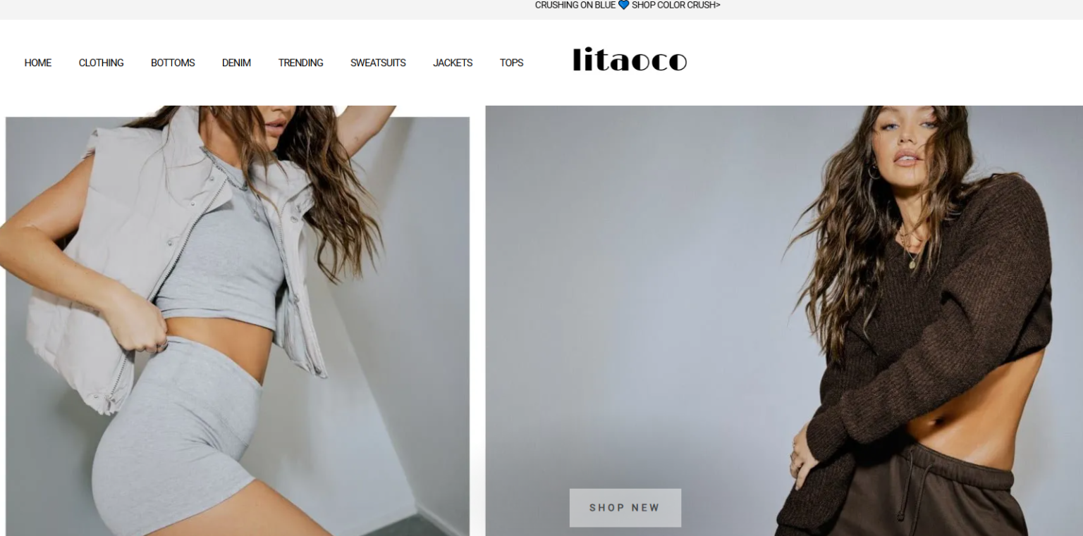 Litaoco.com Scam? A Review To Help Decide